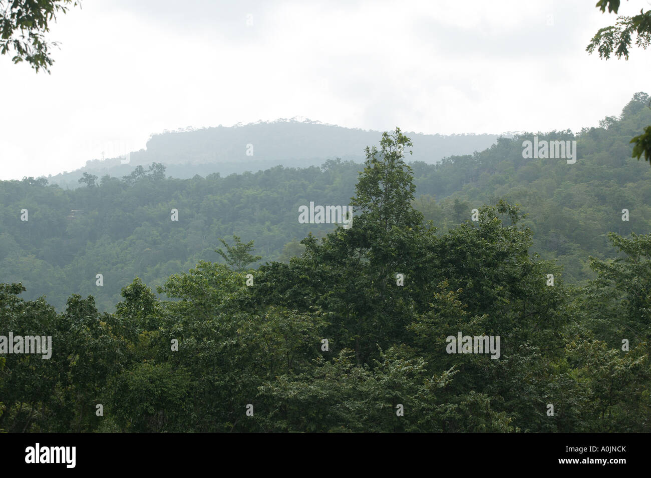 A view of Phu Kradung National Park in North East Thailand There are ...