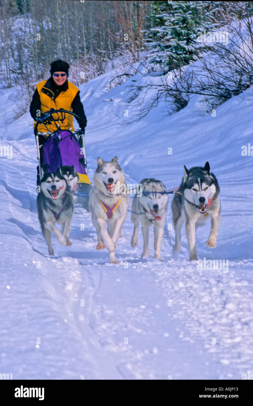 Teamwork mushing hi-res stock photography and images - Alamy