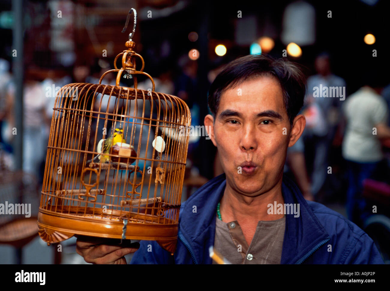 Chinese bird hi-res stock photography and images - Alamy