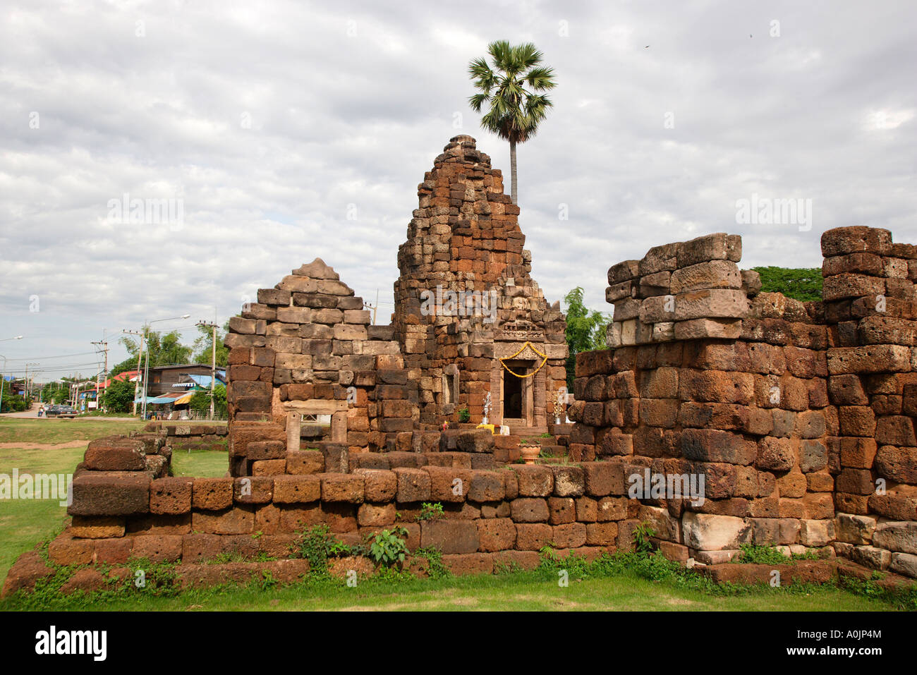 Prang Ku Khmer Tower A tall thin tree behind with branches growing in a ...