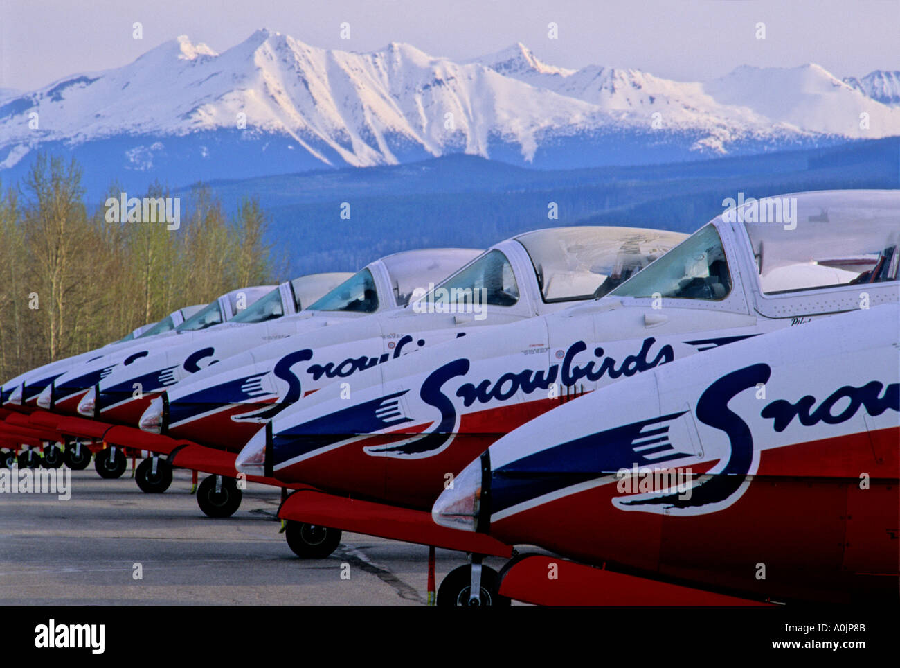 Snowbirds jet team hi-res stock photography and images - Alamy