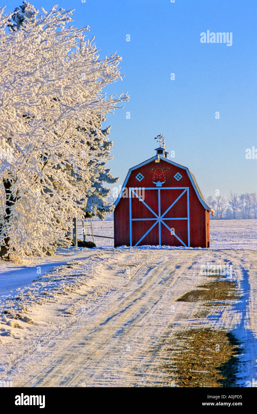 Barn in the frost Stock Photo - Alamy