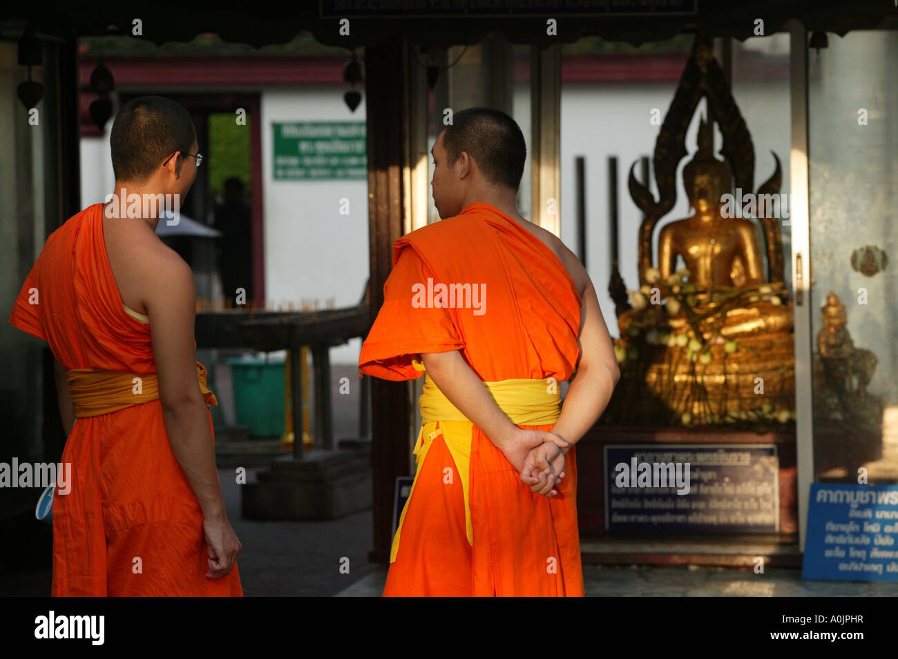 Monks in saffron robes with bright yellow belts standing before a ...