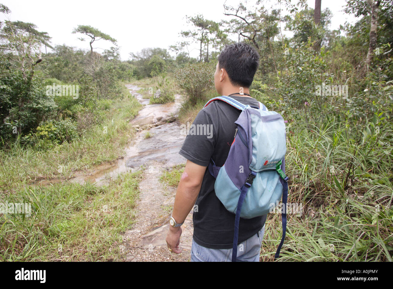 Man walking the trail at Phu Rua National Parrk Stock Photo - Alamy