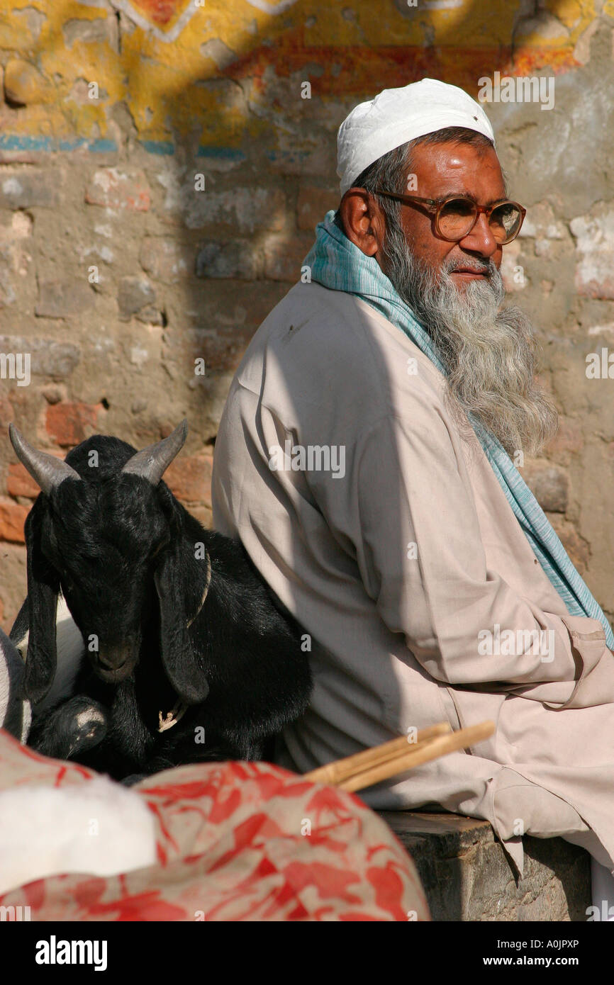 India rajasthan bikaner goat hi-res stock photography and images - Alamy