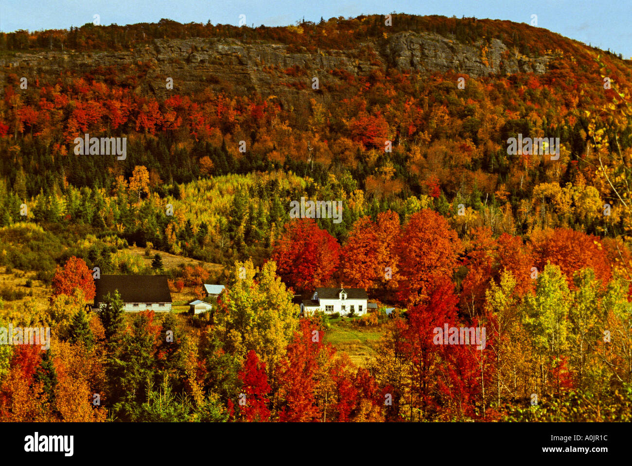 Fall Color New Brunswick Stock Photo - Alamy