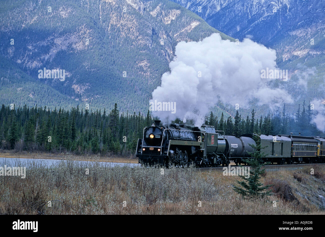 Old steam train jasper alberta hi-res stock photography and images - Alamy