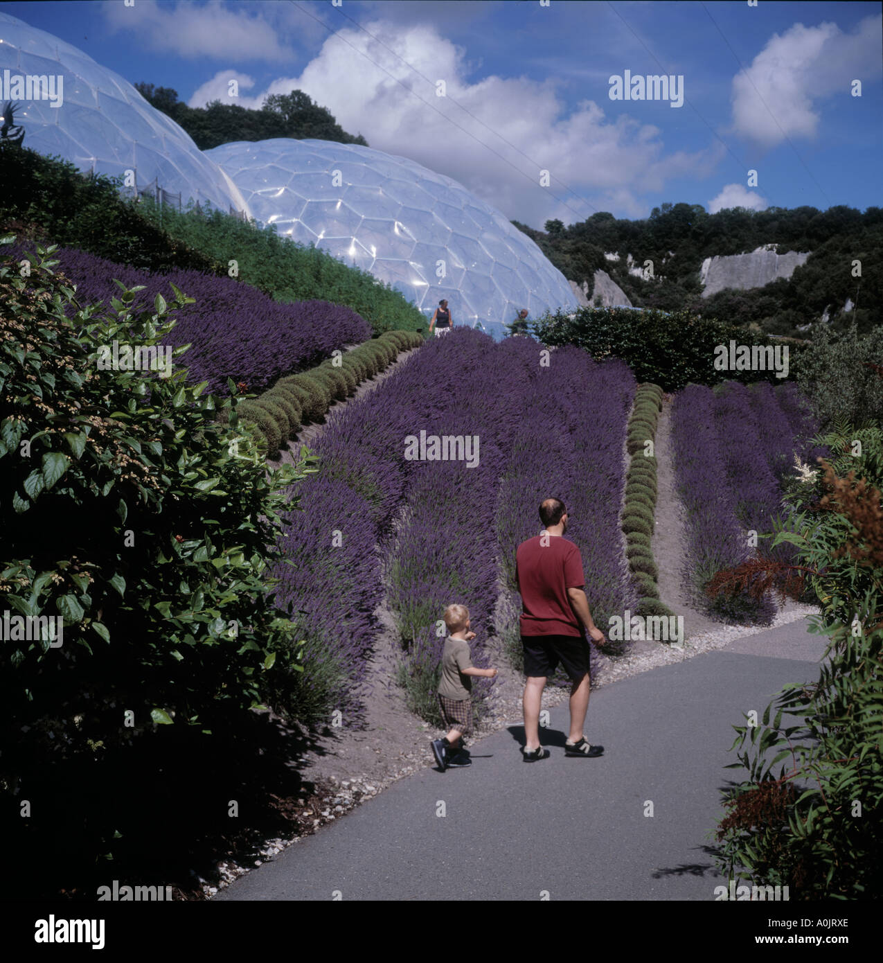 eden project Cornwall Stock Photo - Alamy