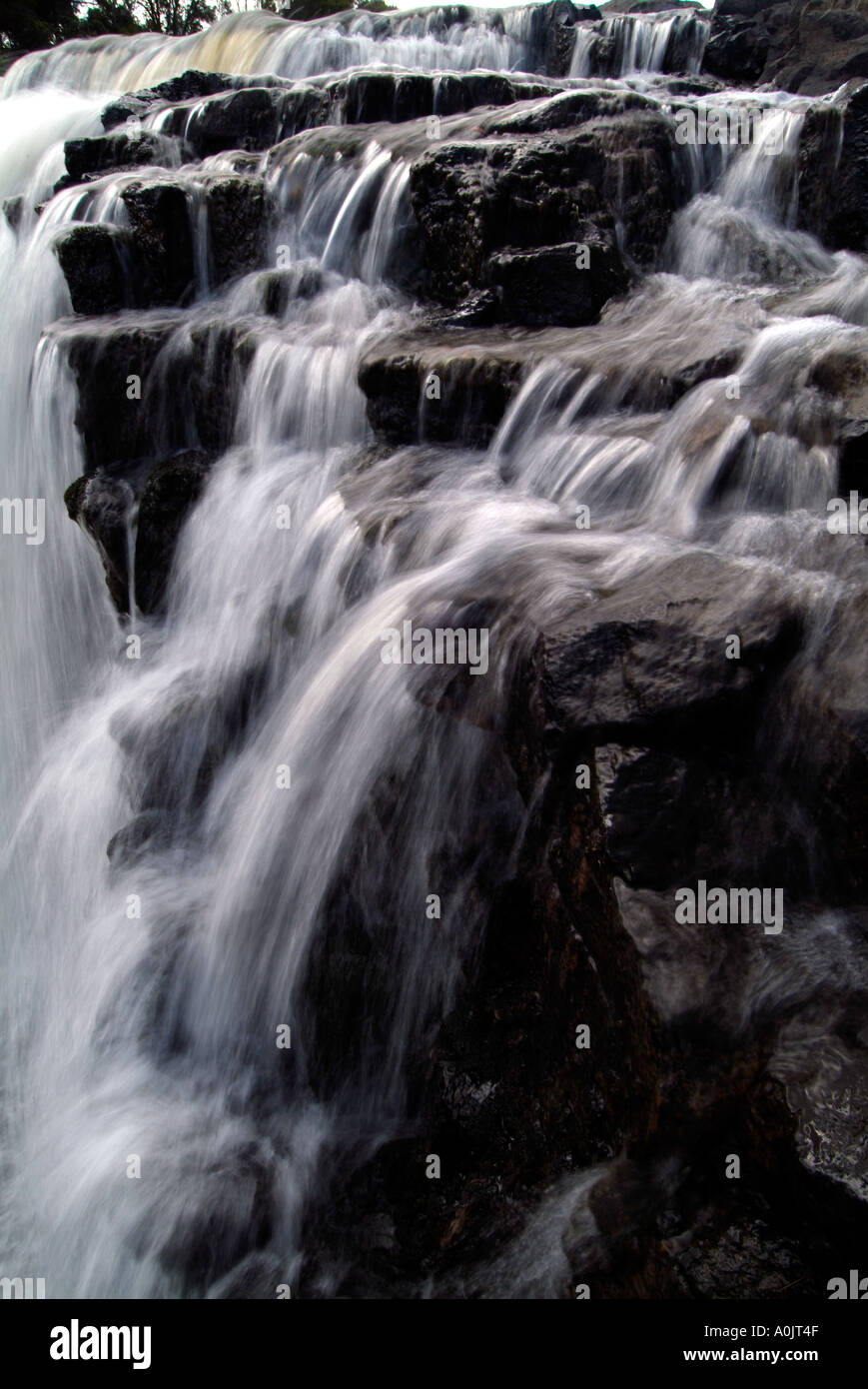 Haruru hi-res stock photography and images - Alamy