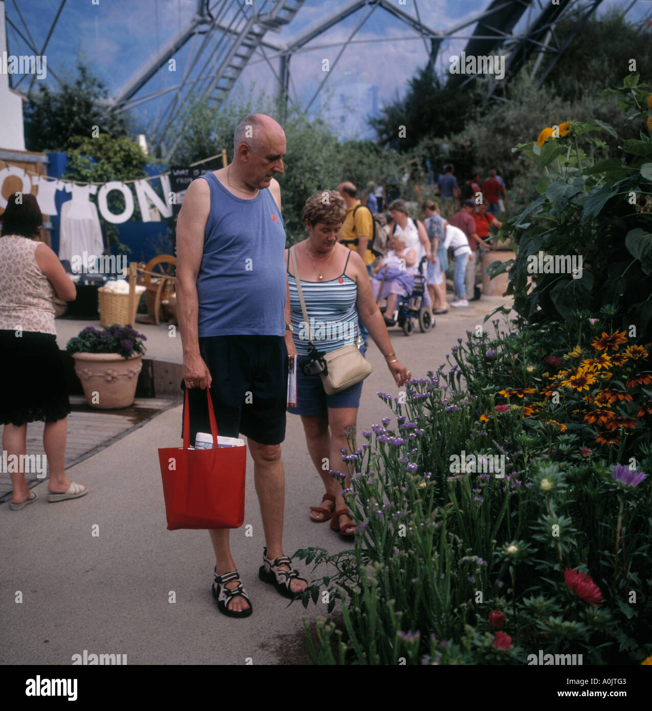 eden project Cornwall Stock Photo - Alamy