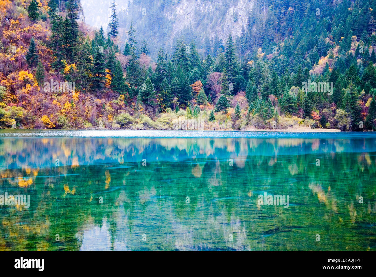 Scenic autumn view of the the Colorful Pond at Jiu Zhai Gou, China ...