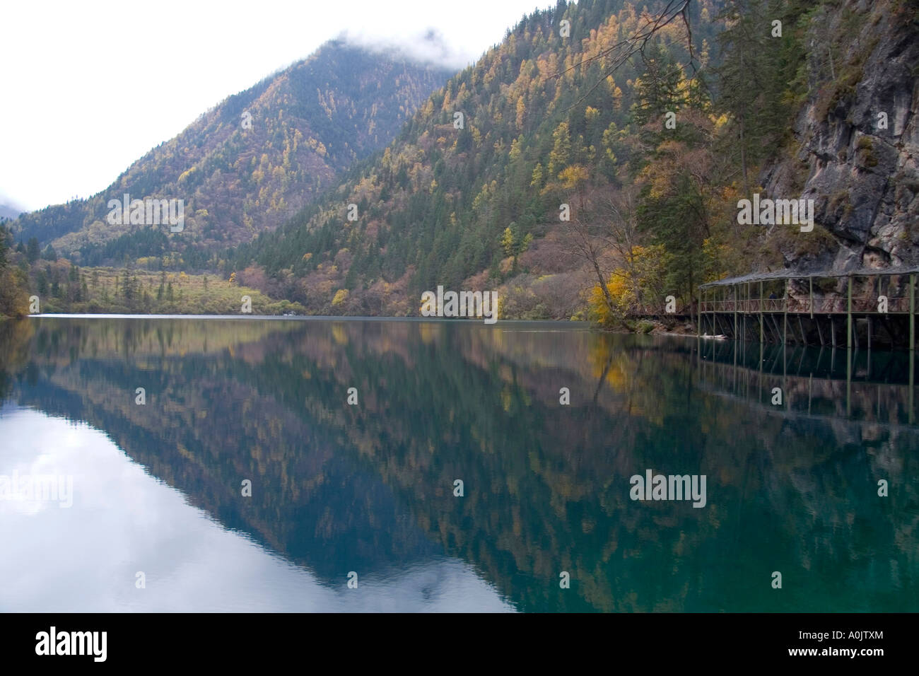 Panda Lake at Jiu Zhai Gou,China Stock Photo - Alamy