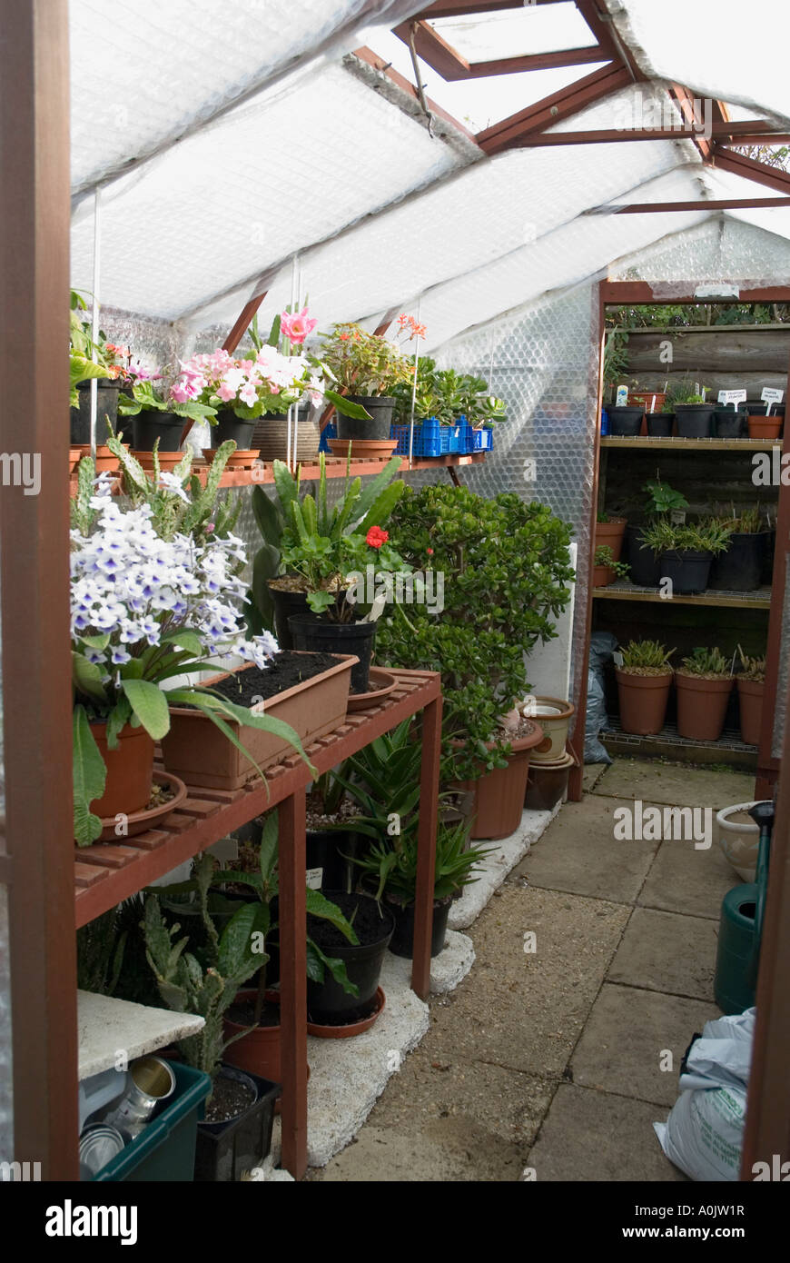 Greenhouse interior hi-res stock photography and images - Alamy