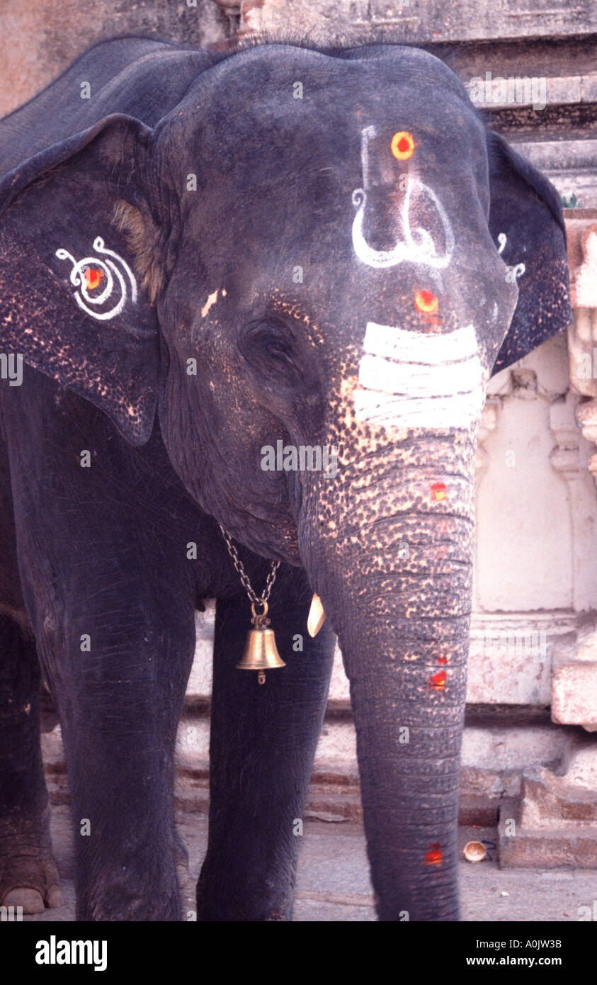 Temple elephant Hampi India Stock Photo - Alamy