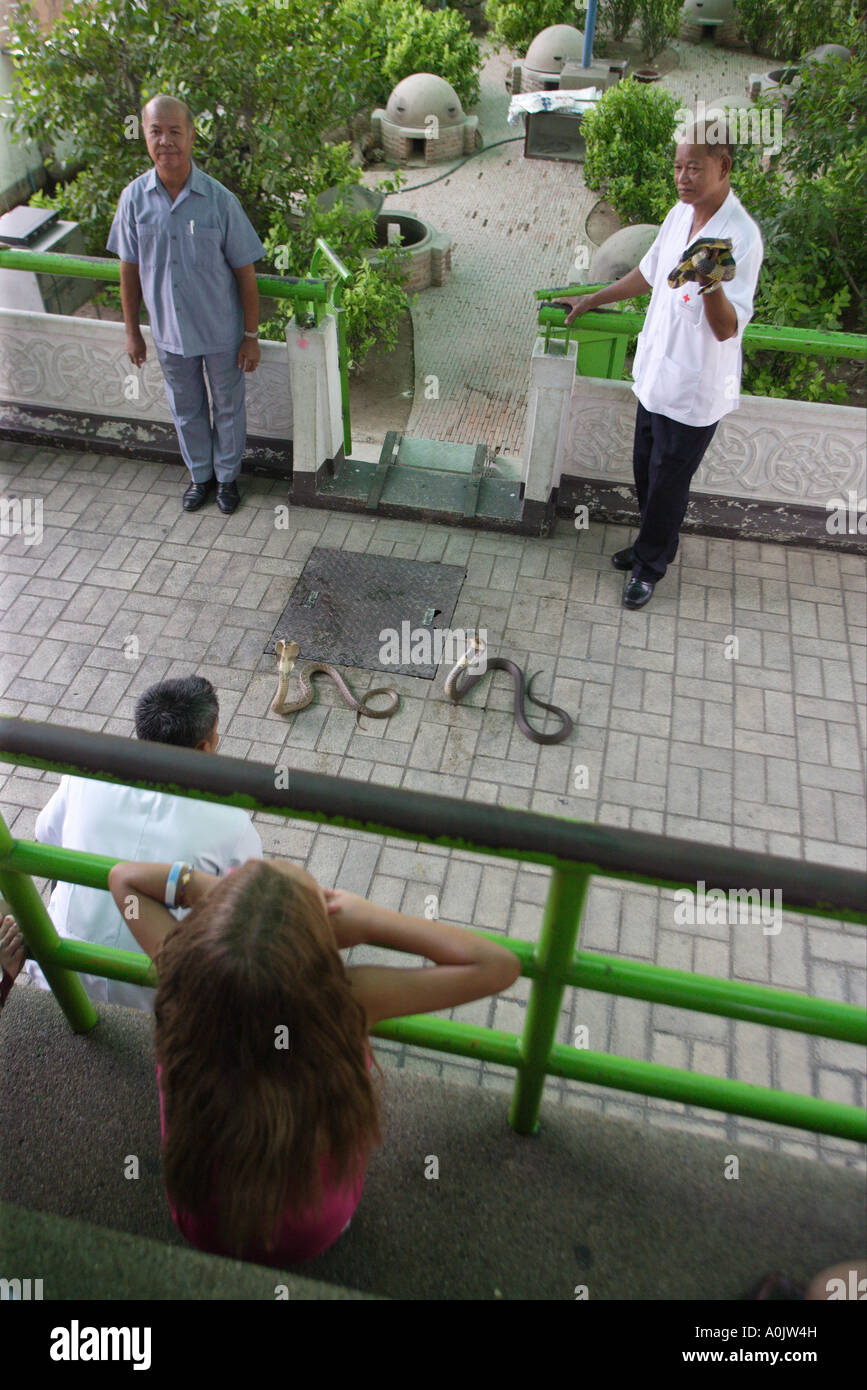 Queen Saovabha Memorial Institute Snake Farm Bangkok Thailand Over 1 ...