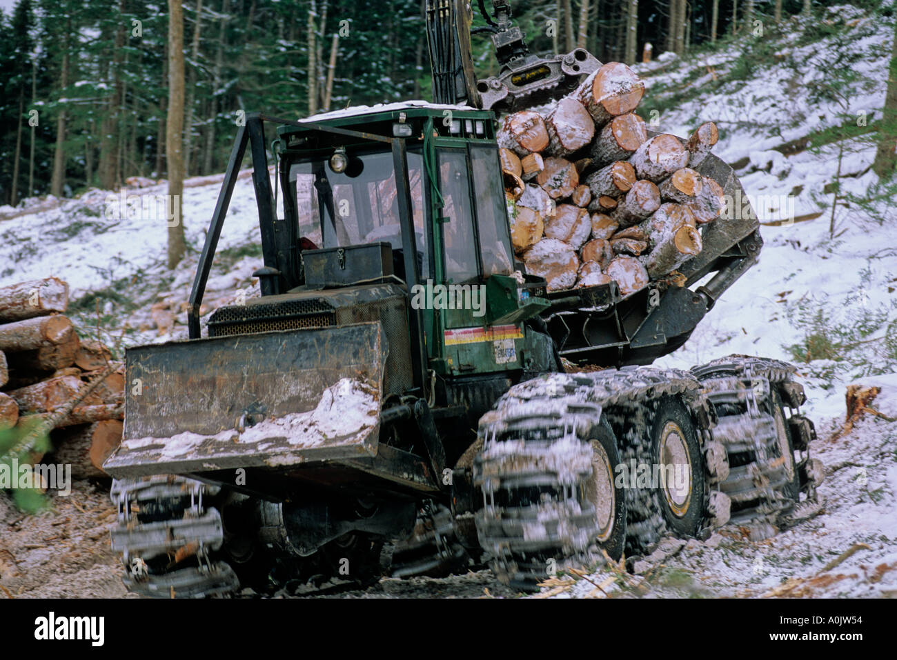 Hauling logs in the forest Stock Photo - Alamy