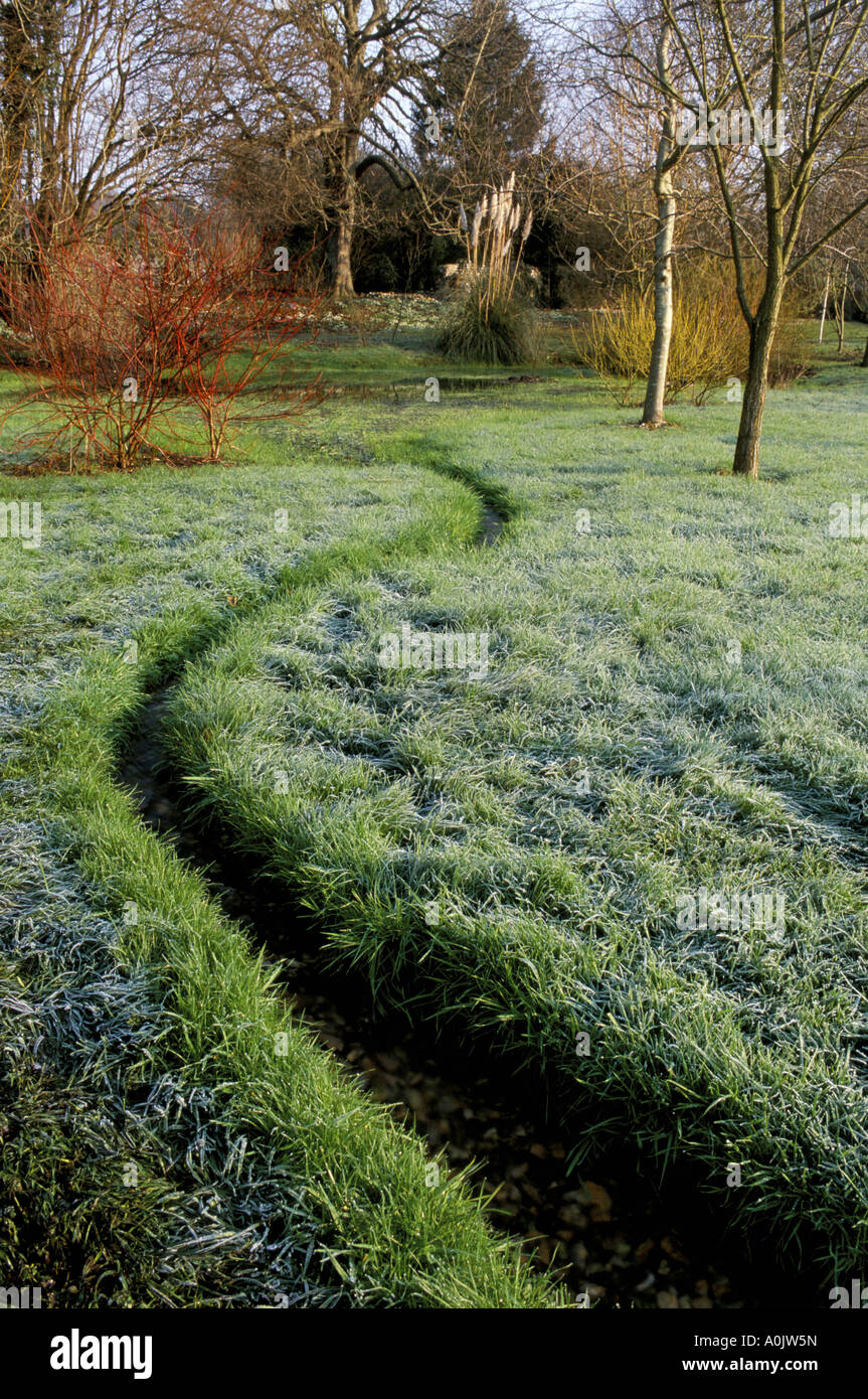 Mitchmere farm sussex winter garden hi-res stock photography and images ...
