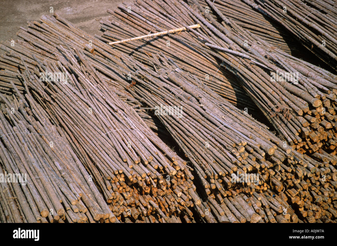 Truck full of logs hi-res stock photography and images - Alamy