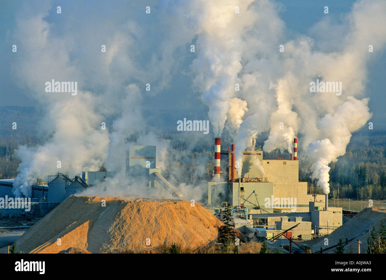 Wood chips paper pulp mill hi-res stock photography and images - Alamy