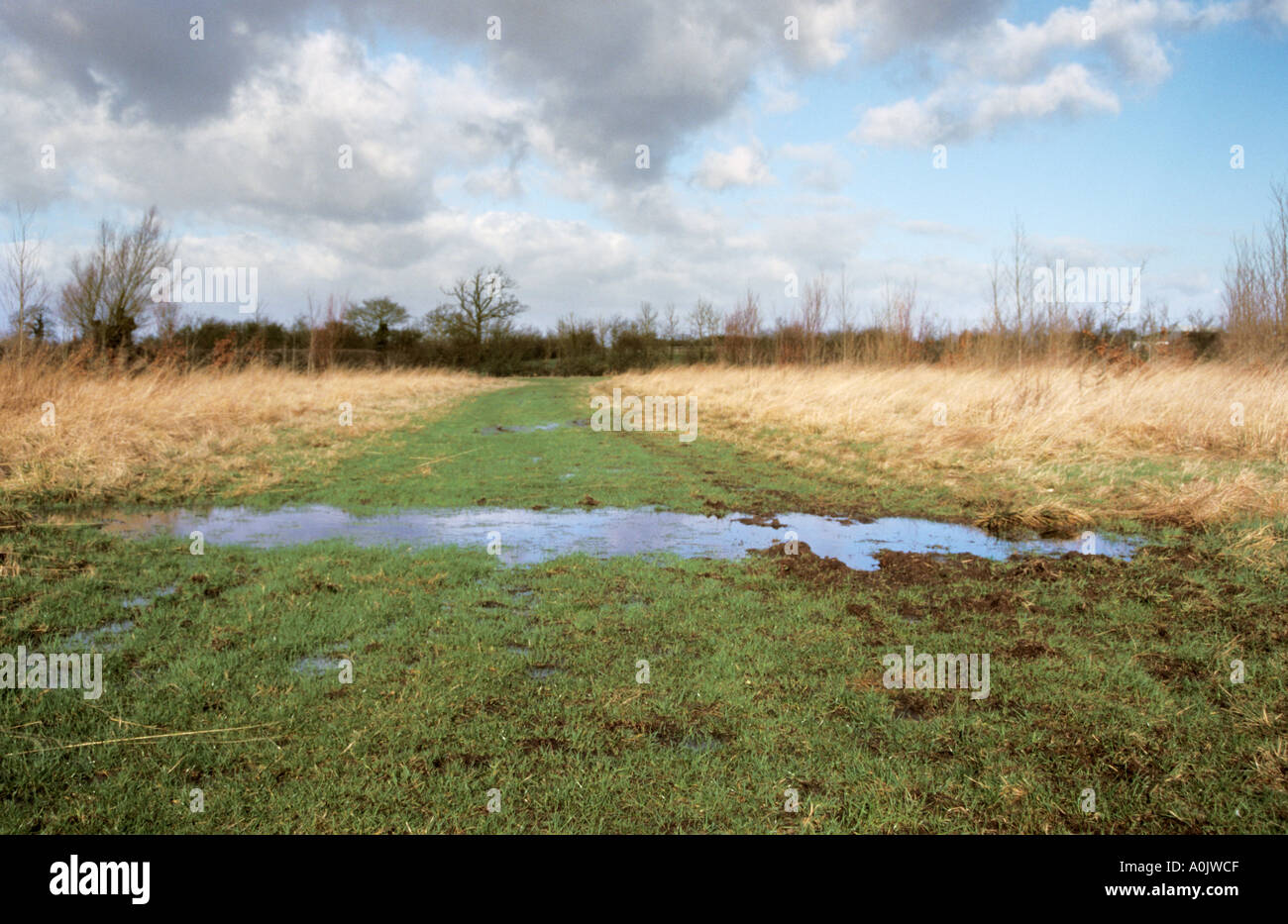 Field with grass pathway running into the distance Wiltshire England ...