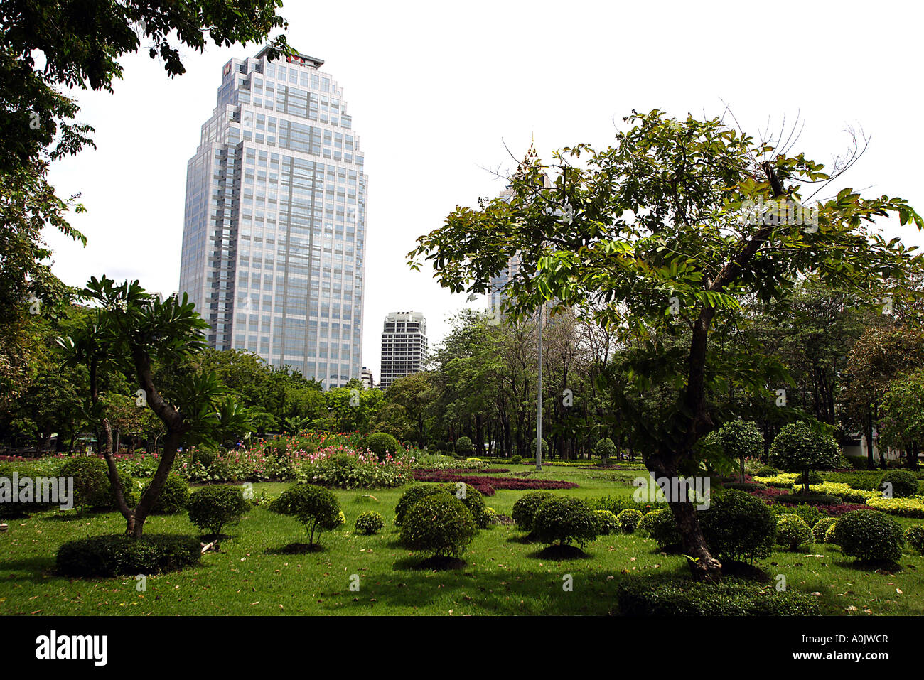 Lumpini Park with skyscrapers beyond Suan Lumphini Lumphini Park is the ...