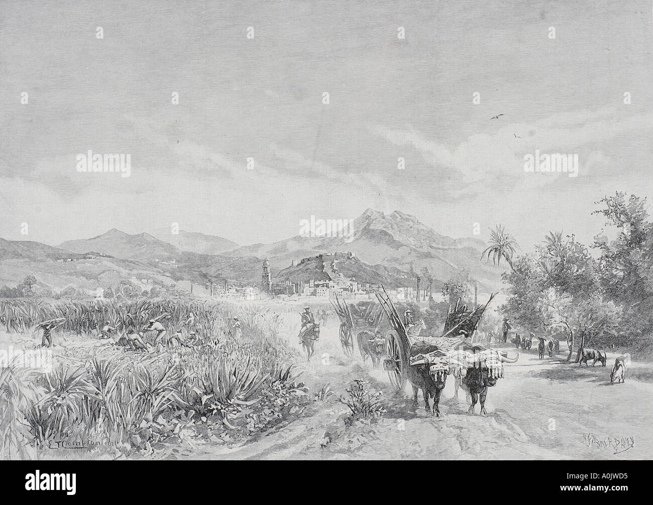 Malaga, Spain, from the sugar fields circa 1890 by Edward T Compton ...
