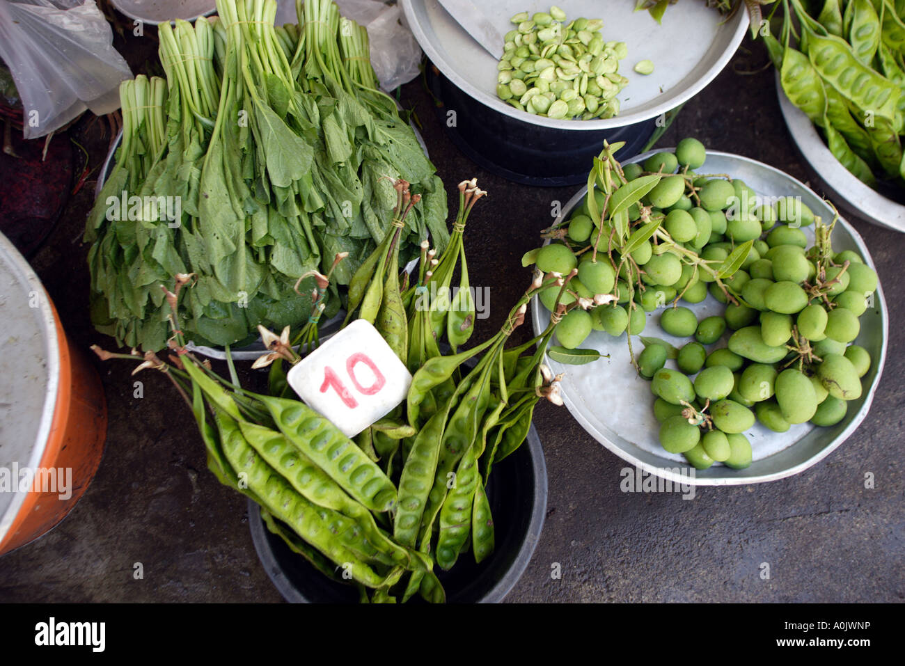 Trays of green vegetables sugar peas Bok Choi Pak Choi and possibly ...