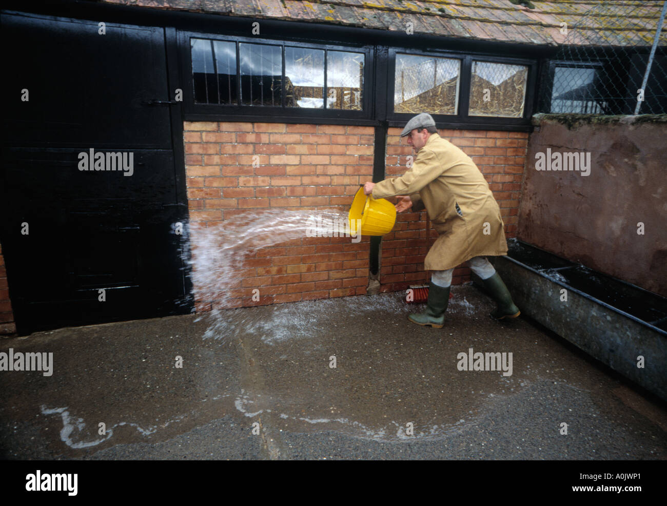 Quantock stag hunt Exmoor somerset UK Devon Somerset Staghounds Hunt ...