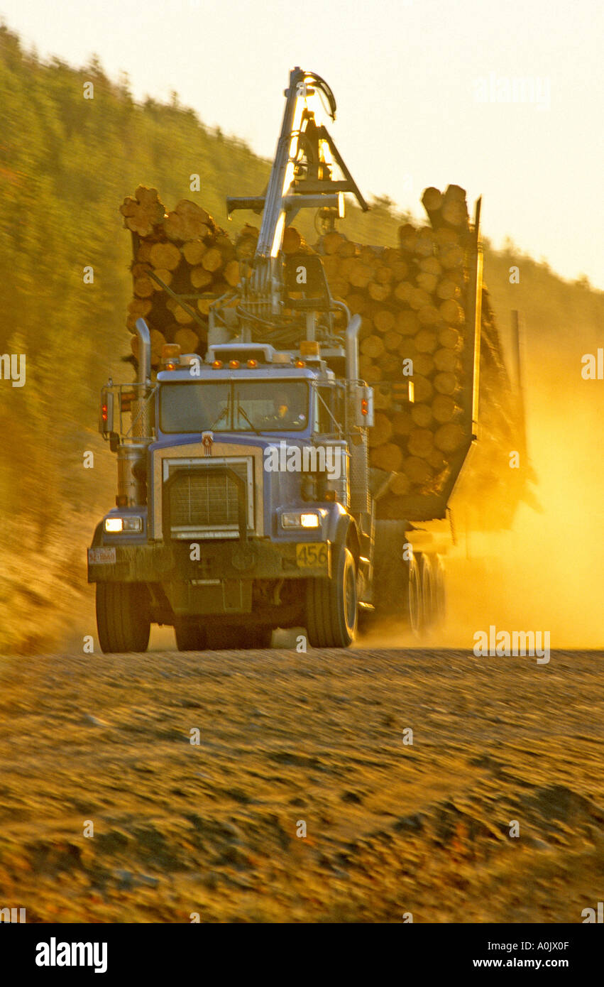 Hauling logs hi-res stock photography and images - Alamy