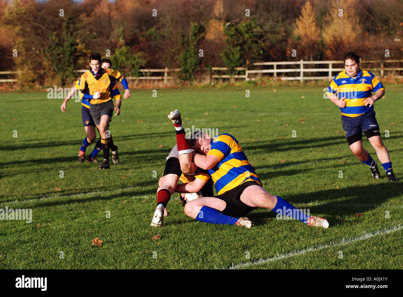 Rugby Union at club level, Leamington Spa, Warwickshire, England, UK ...