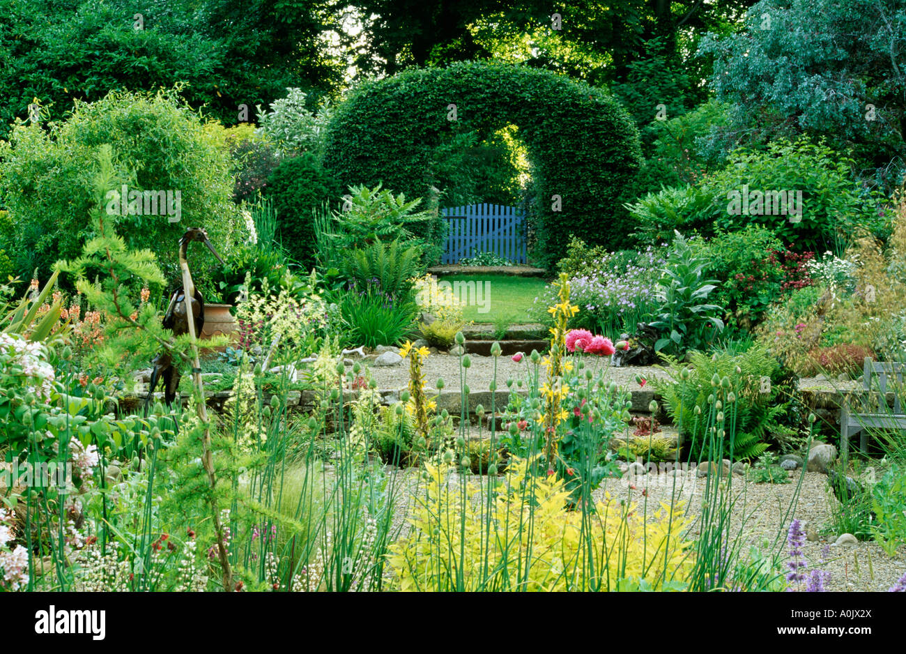 Summer garden with arched hedge over gate Stock Photo - Alamy