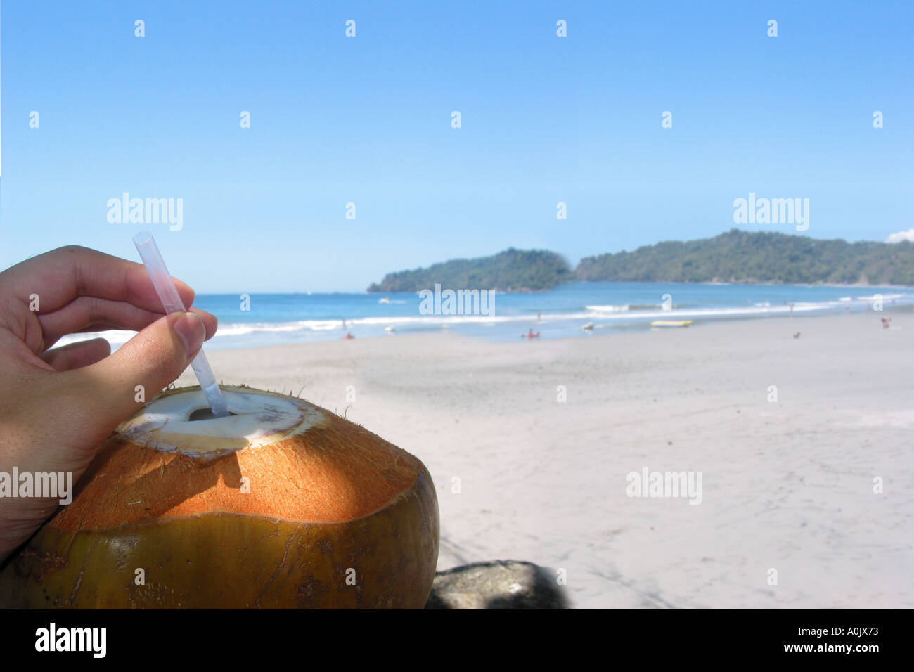 hand holding coconut on beach Stock Photo - Alamy