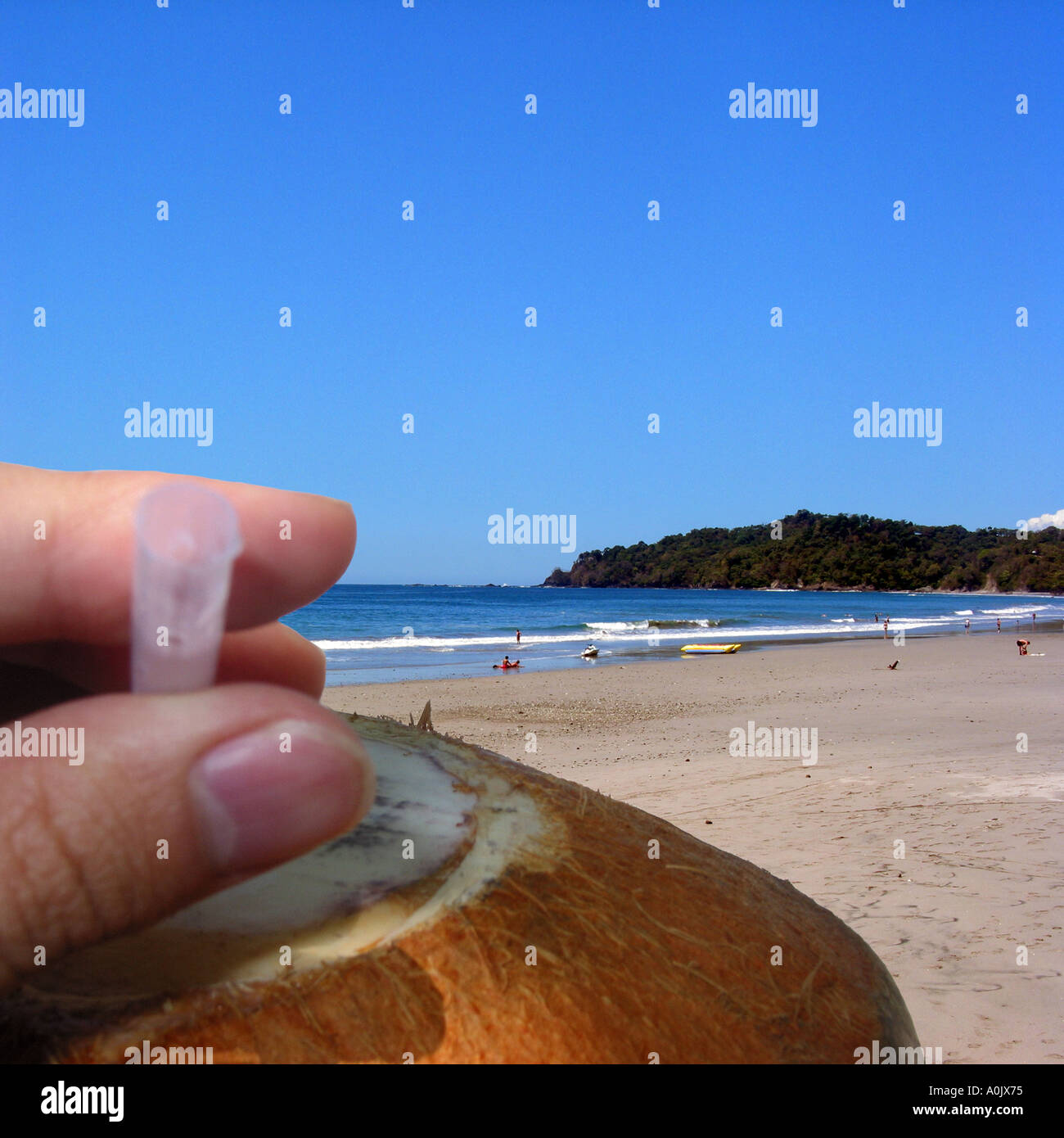 hand holding coconut on beach Stock Photo - Alamy