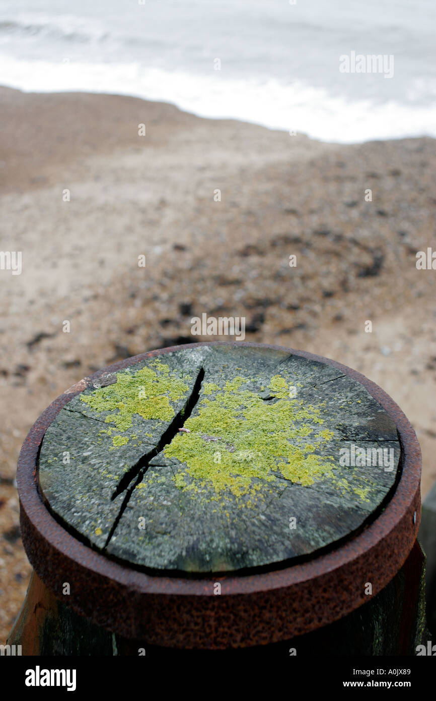 Wooden bollard on pebble beach Stock Photo - Alamy