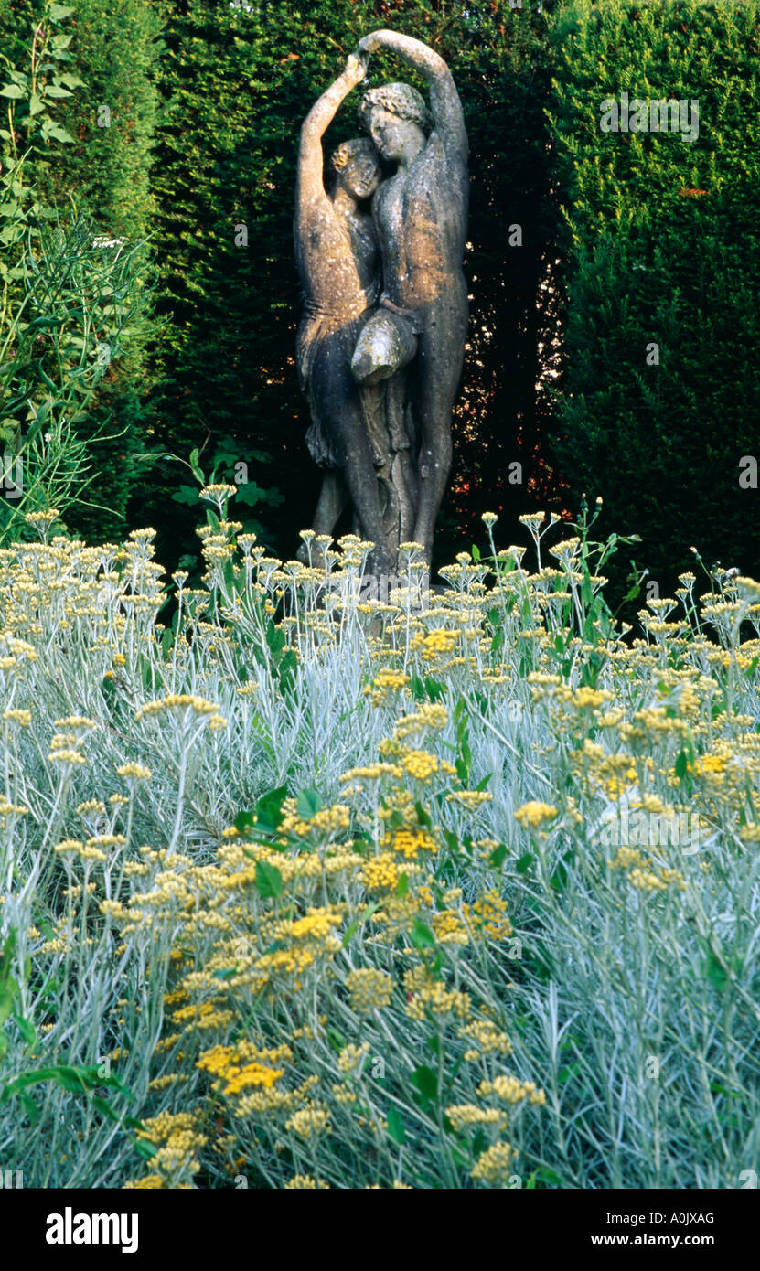 Helichrysum growing in front of statue, hedge in background Stock Photo ...