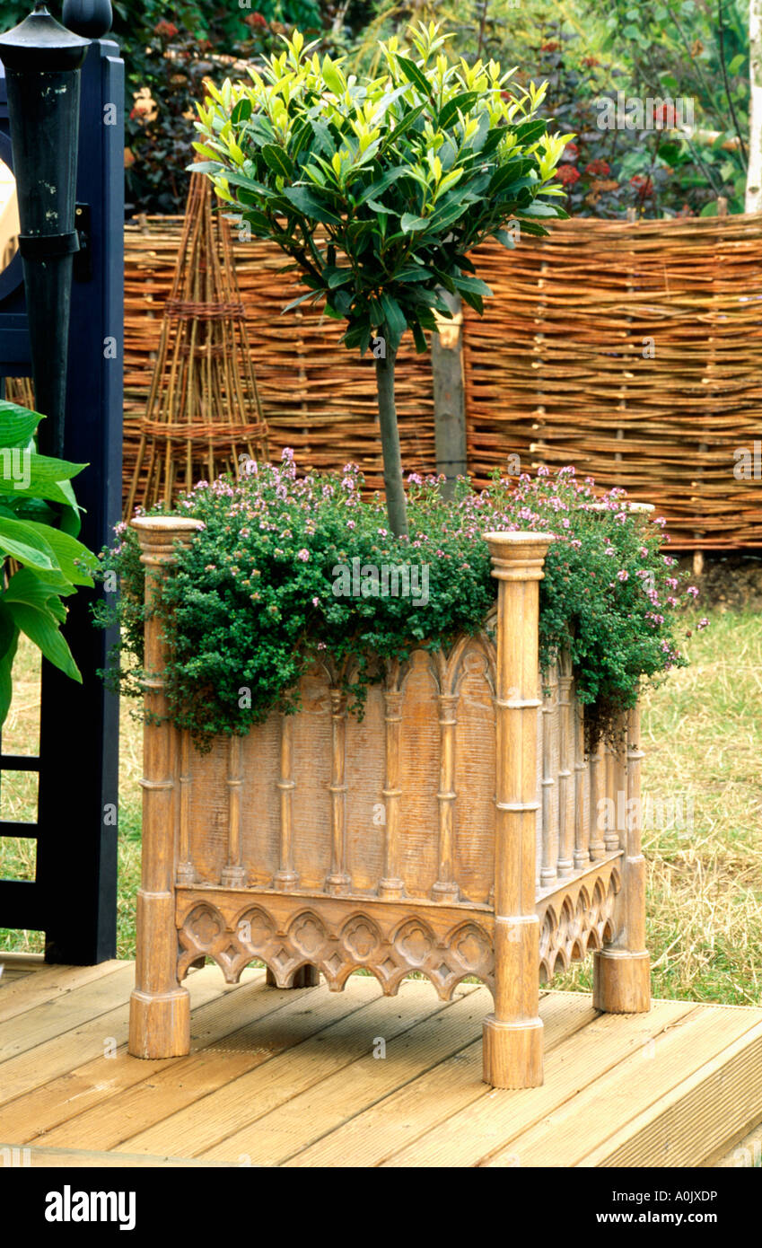 Bay tree and herbs growing in square wooden planter Stock Photo - Alamy