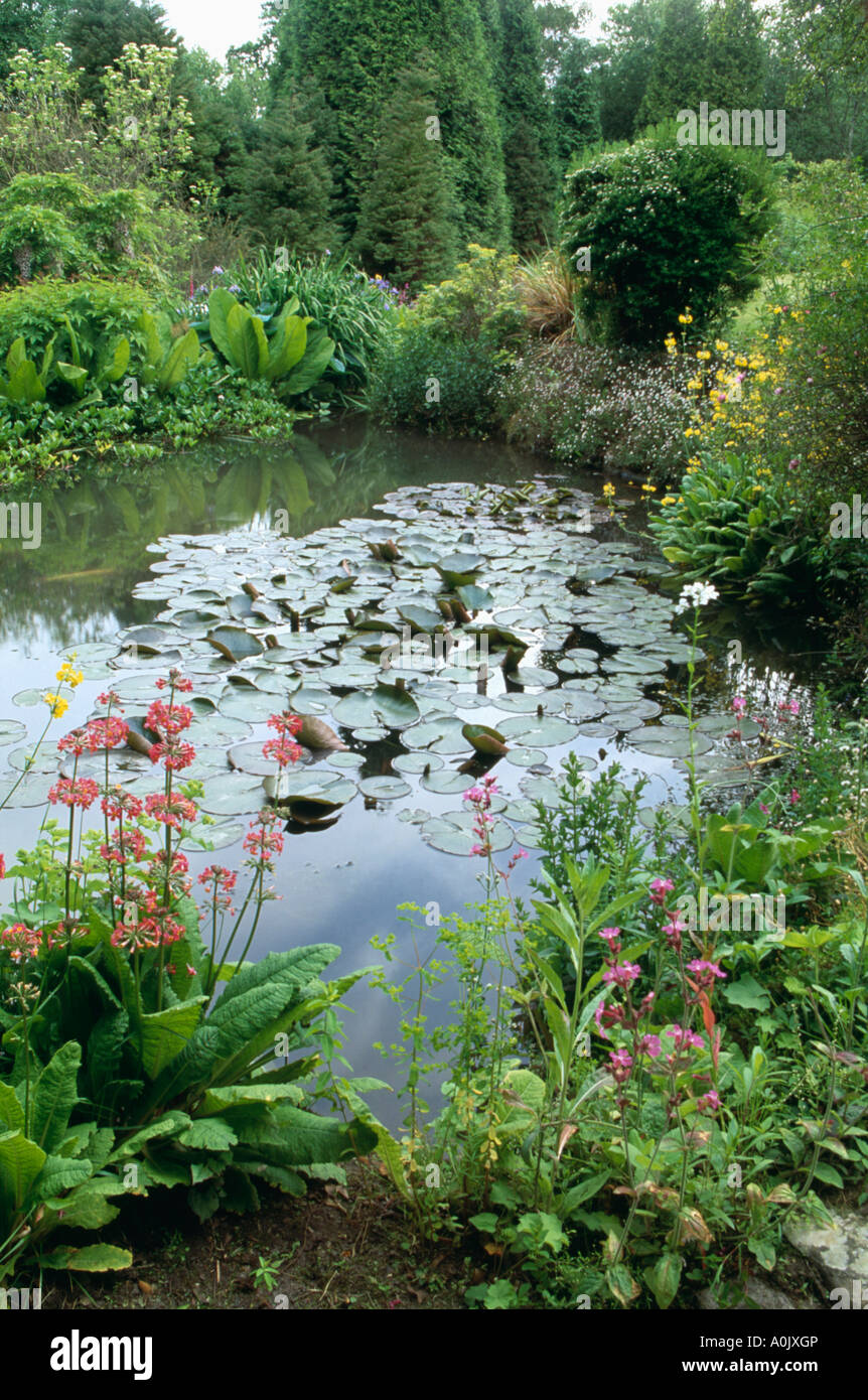 Large pond in country garden Stock Photo - Alamy
