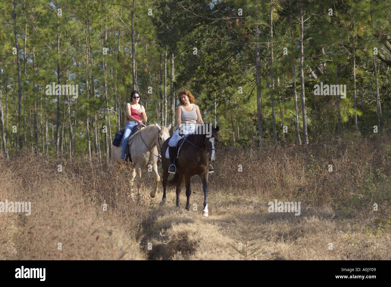 Two girls horseback riding on the Cross Florida Greenway trails USA ...