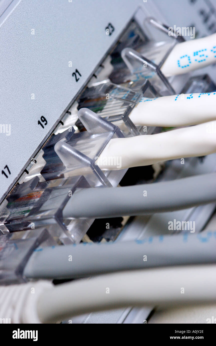CAT 5 Ethernet cables plugged into a computer networking switch Stock ...