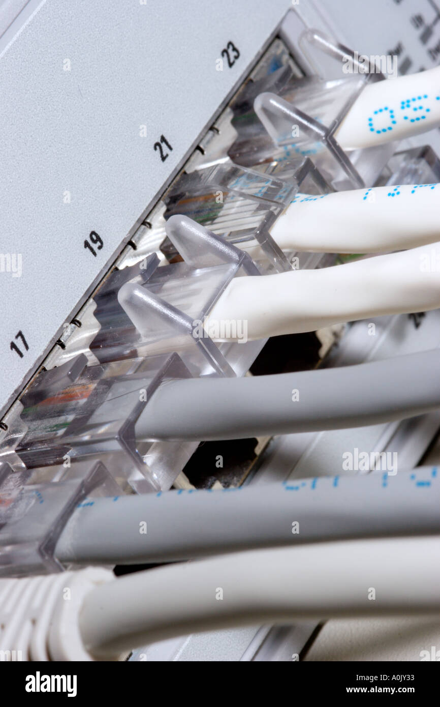 CAT 5 Ethernet cables plugged into a computer networking switch Stock ...