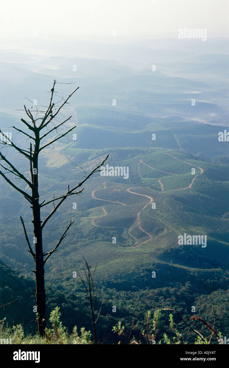 Overlooking a forest from a window hi-res stock photography and images ...