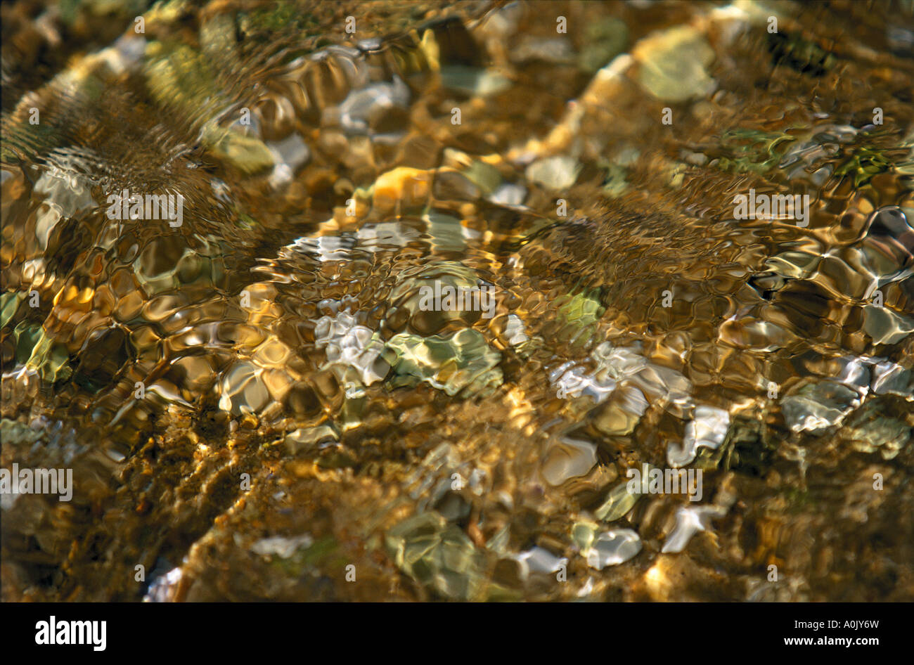 Details Awaroa Inlet Able Tasman National Park Stock Photo - Alamy