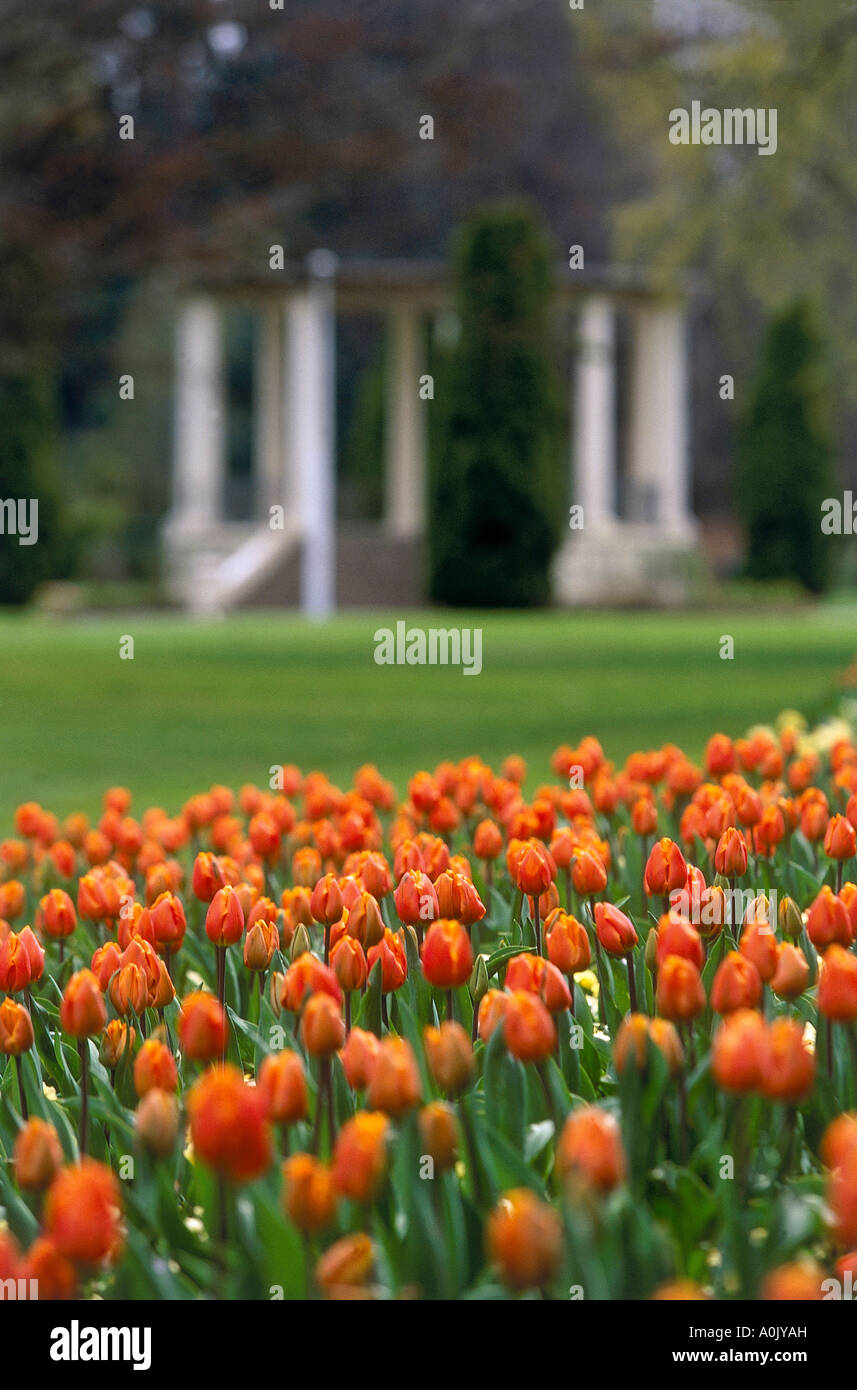 Queens park invercargill hi-res stock photography and images - Alamy