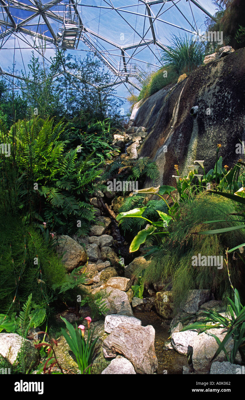 Waterfall feature inside the warm temperate Biome Eden Project Cornwall ...