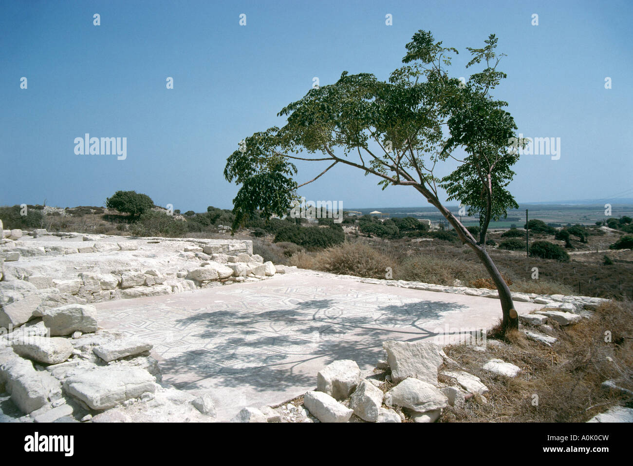 A tree hangs over the remains of a mosaic floor at the ruins of the ...
