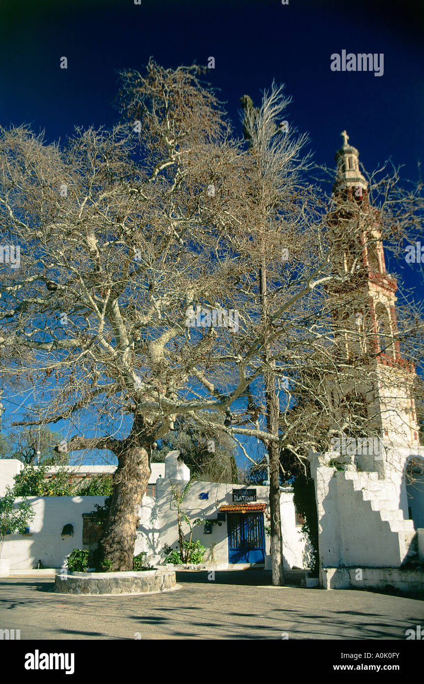 Lachania hi-res stock photography and images - Alamy