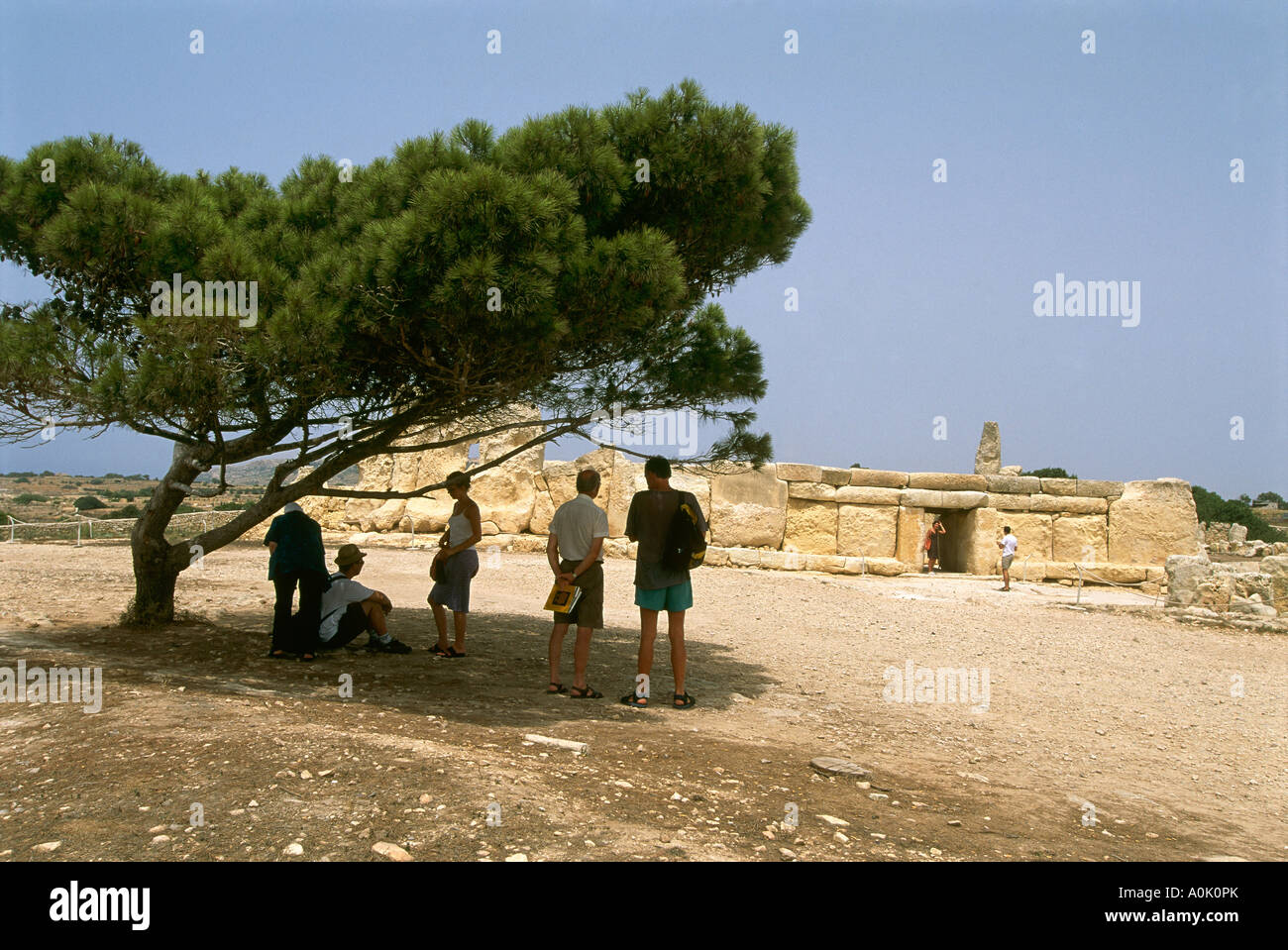 Tourists stand under the shade of a tree at Hagar Qim Stock Photo - Alamy