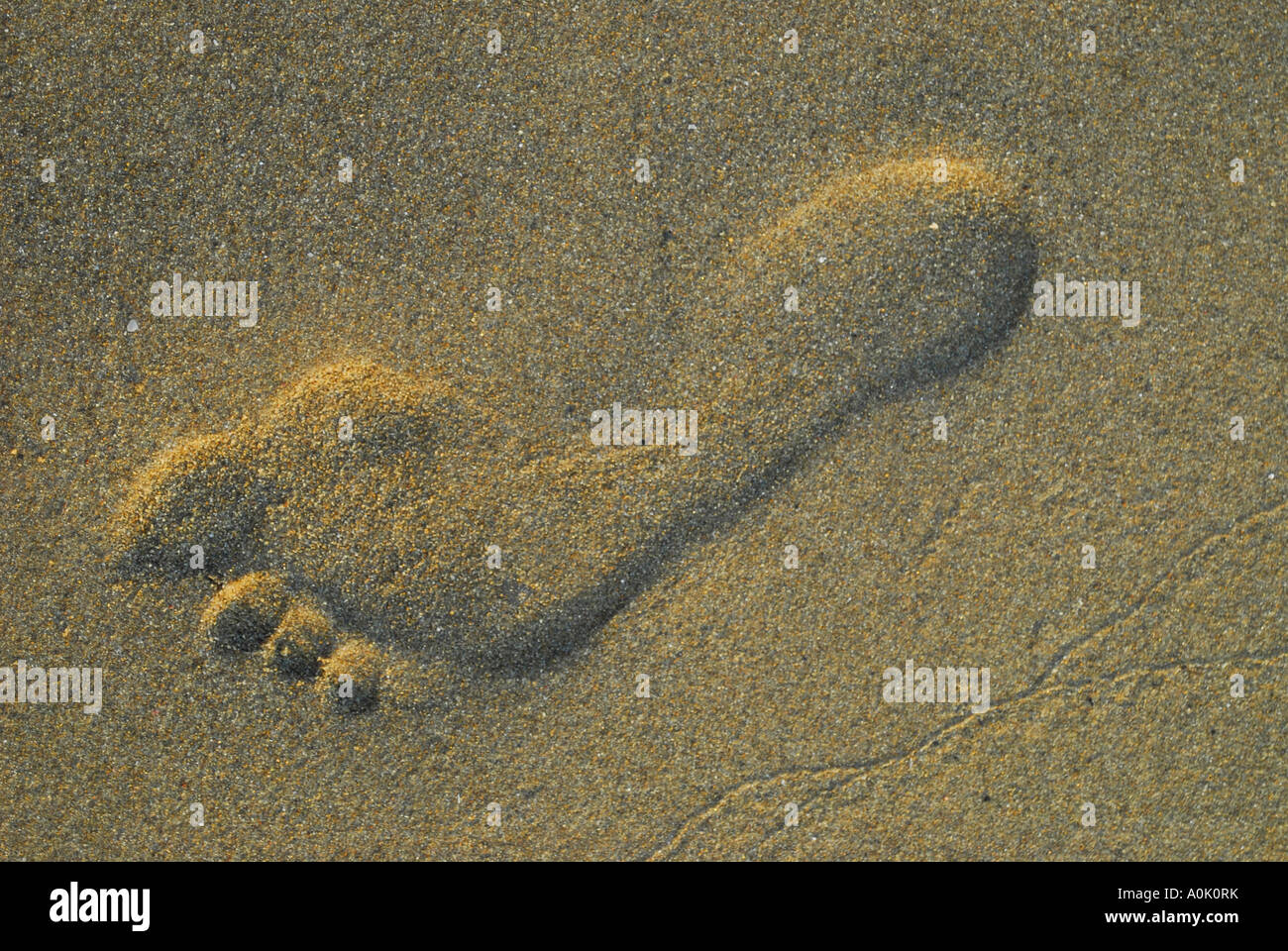 Foot mark hi-res stock photography and images - Alamy