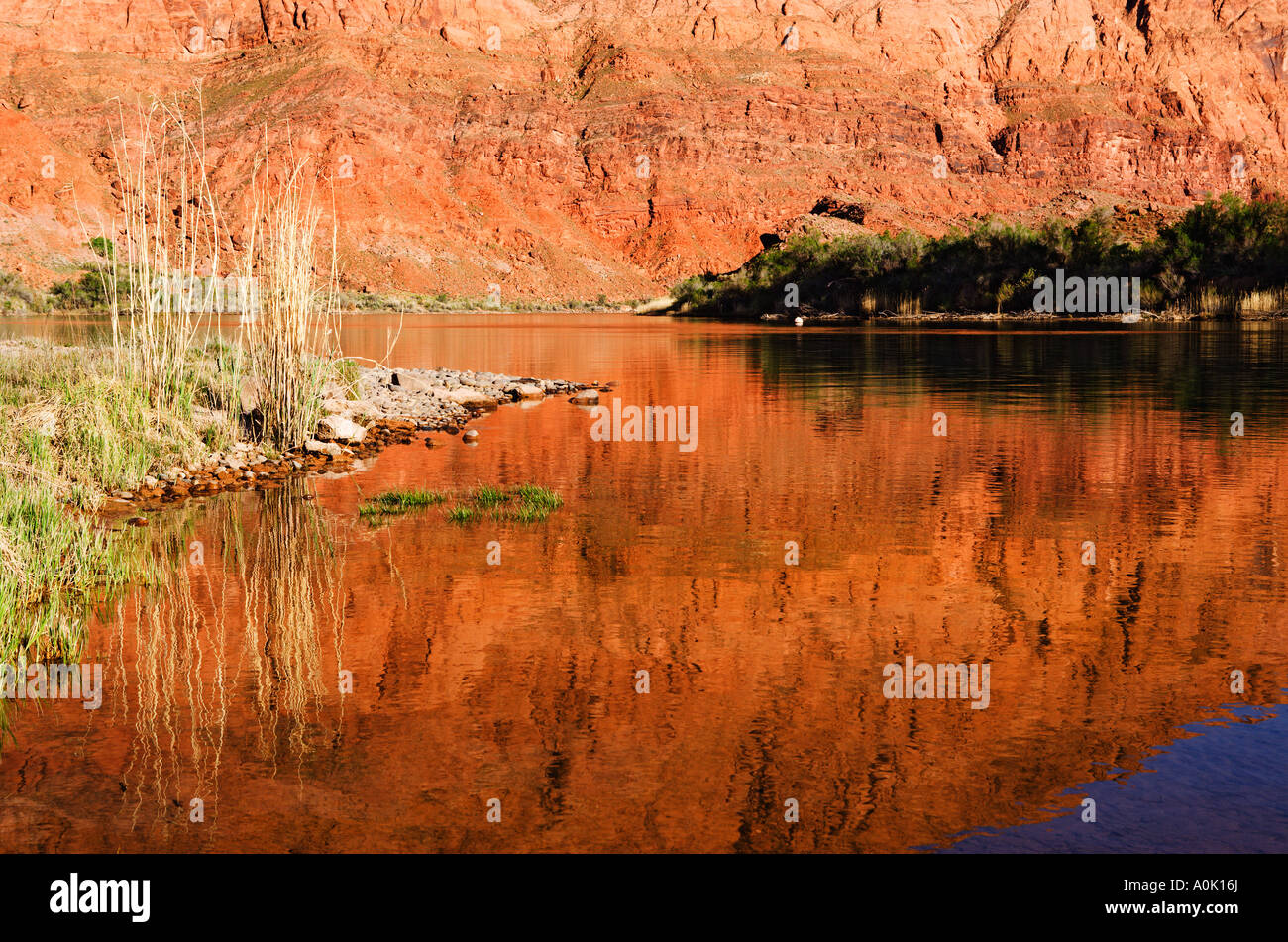 USA ARIZONA LEES FERRY THE VERMILLION CLIFFS COLORADO RIVER Stock Photo ...