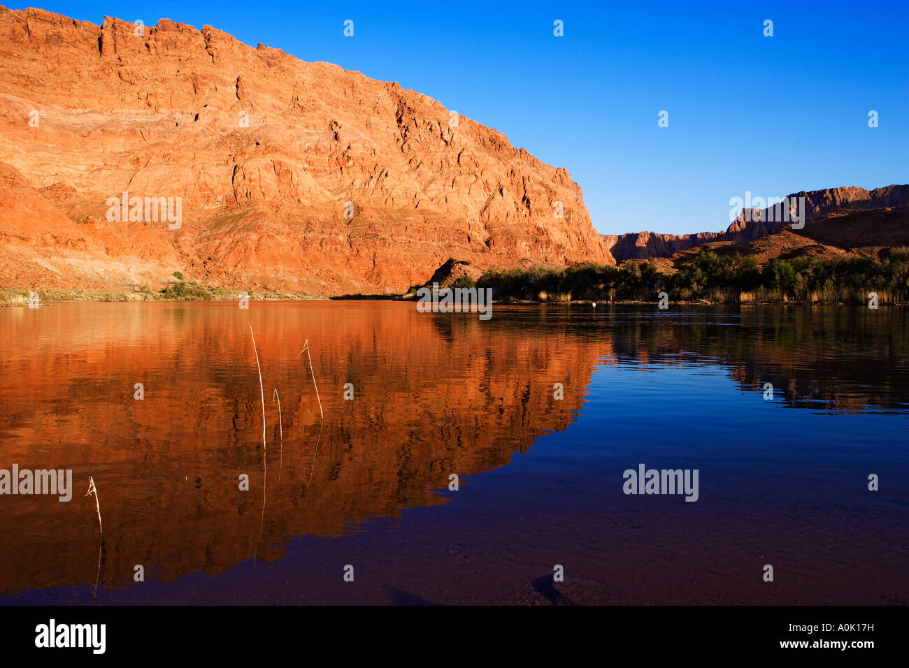 USA ARIZONA LEES FERRY THE VERMILLION CLIFFS COLORADO RIVER Stock Photo ...
